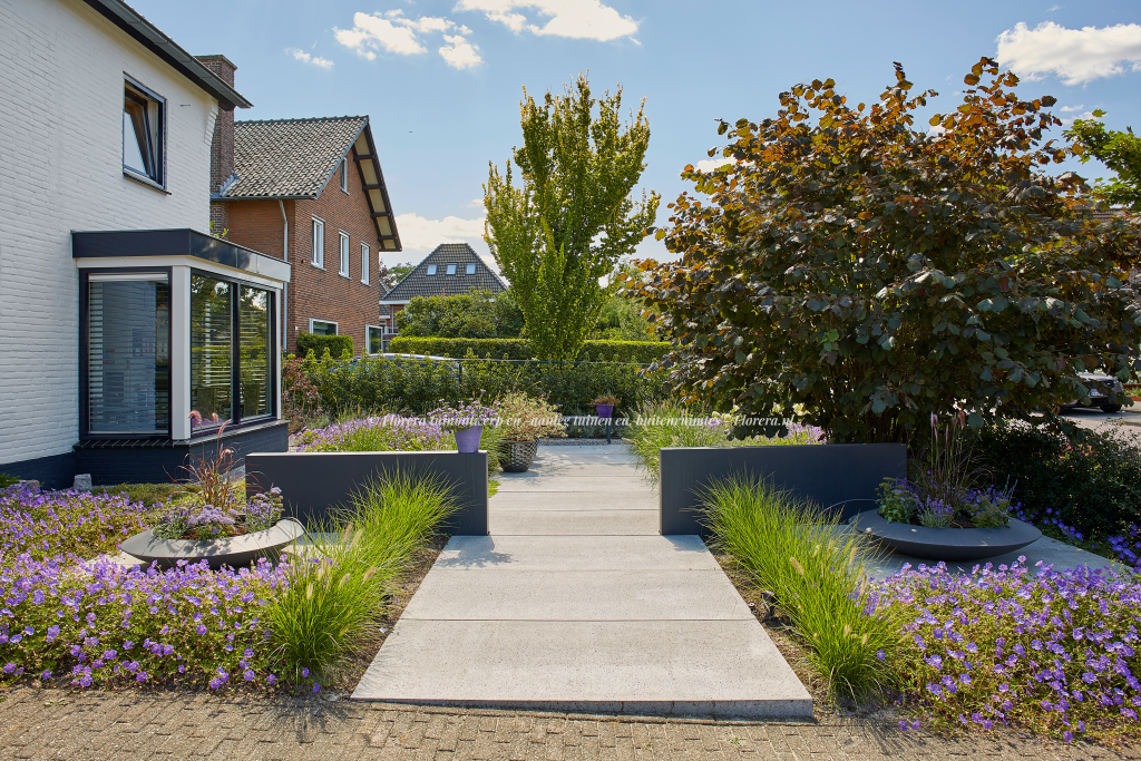 Tuinontwerp: kleurrijke voortuin | Ontdek het project hier!